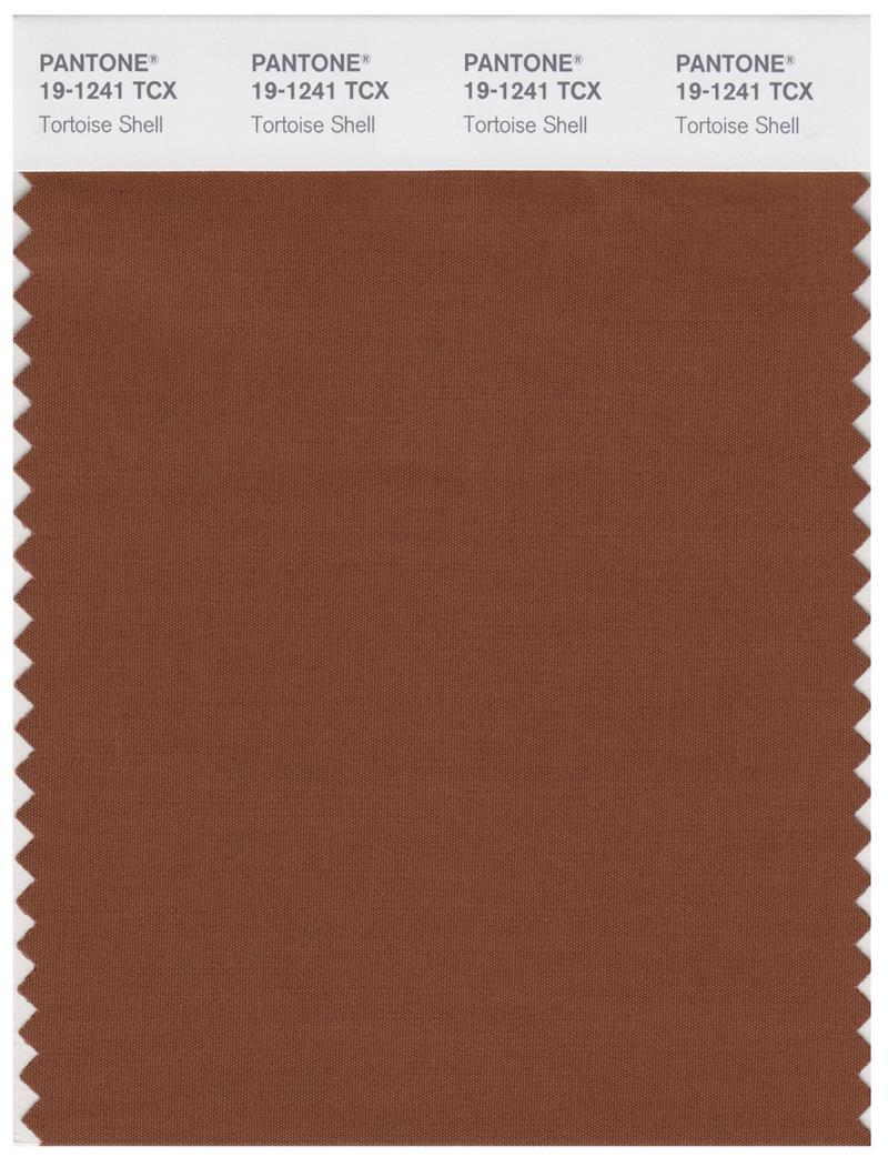 Pantone Smart 19-1241 TCX Color Swatch Card | Tortoise shell | Magazine ...