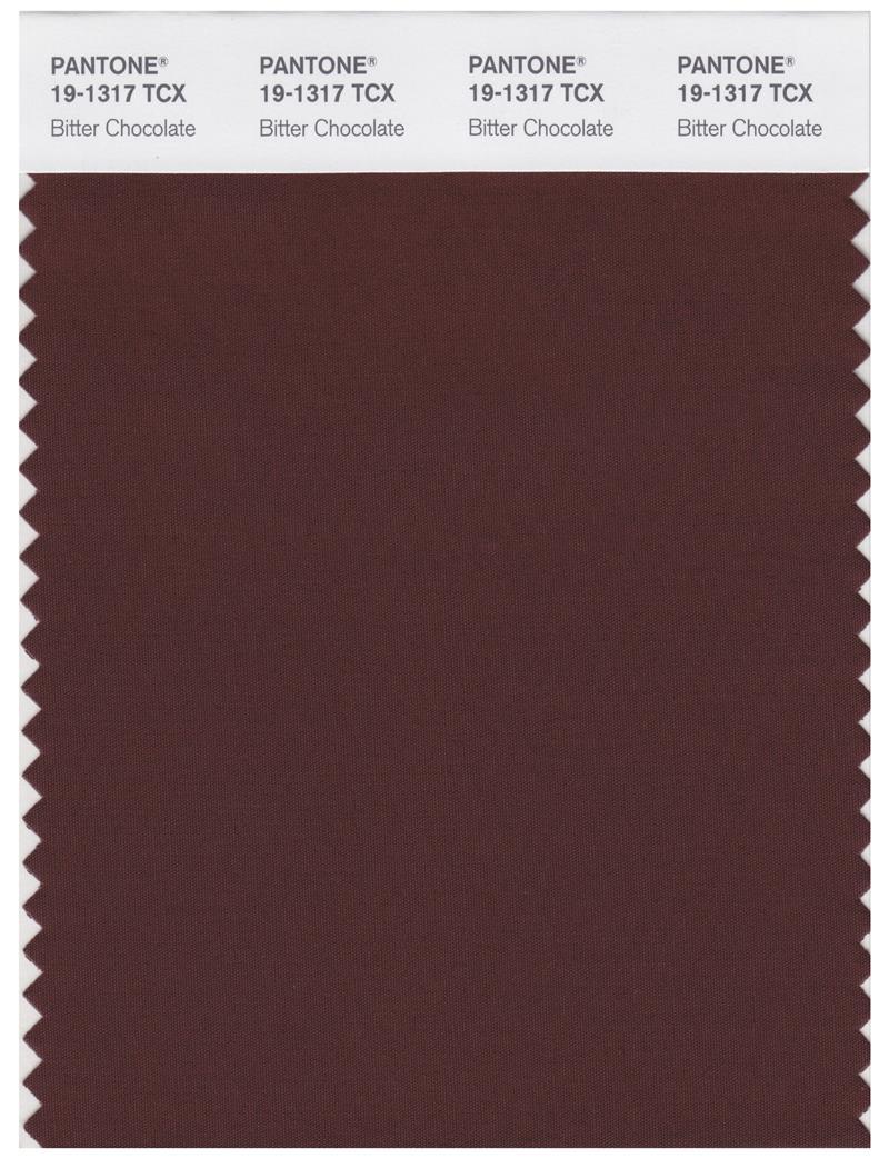 Pantone Smart 19-1317 TCX Color Swatch Card | Bitter Chocolate ...