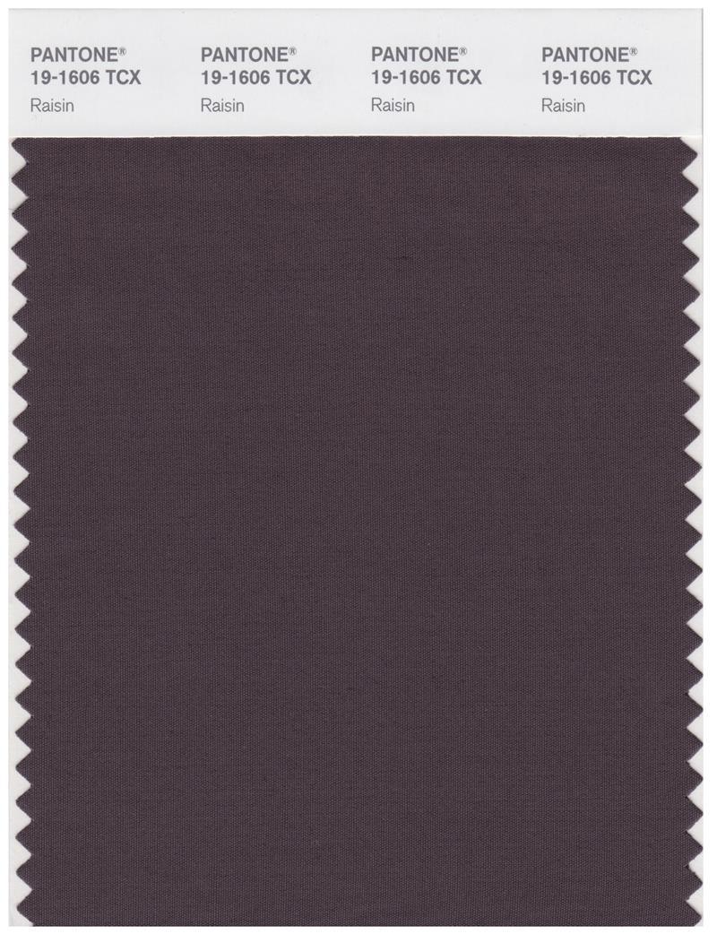 Pantone Smart 19-1606 TCX Color Swatch Car | Raisin | Magazine Cafe ...