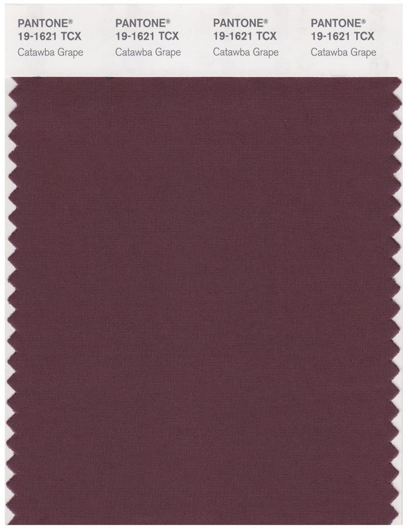 Pantone Smart 19-1621 TCX Color Swatch Card | Cataw Grape | Magazine ...