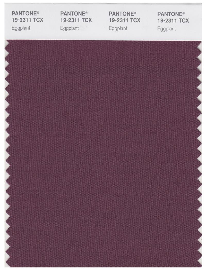 Pantone Smart 19-2311 TCX Color Swatch Card | Eggplant | Magazine Cafe ...