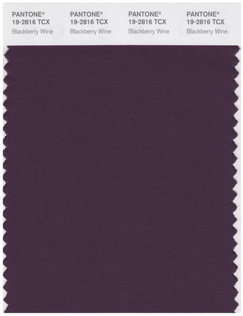 Pantone Smart 19-2816 TCX Color Swatch Card | Blackberry Wine ...