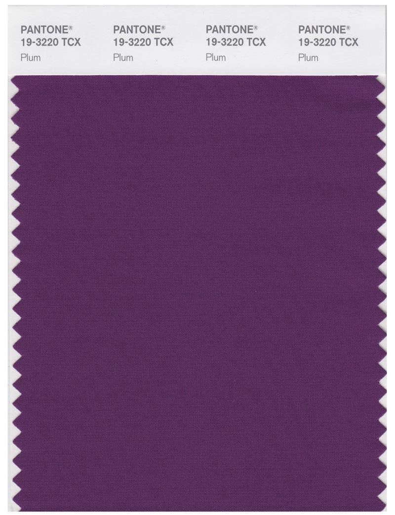 Pantone Smart 19-3220 TCX Color Swatch Card | Plum | Magazine Cafe ...