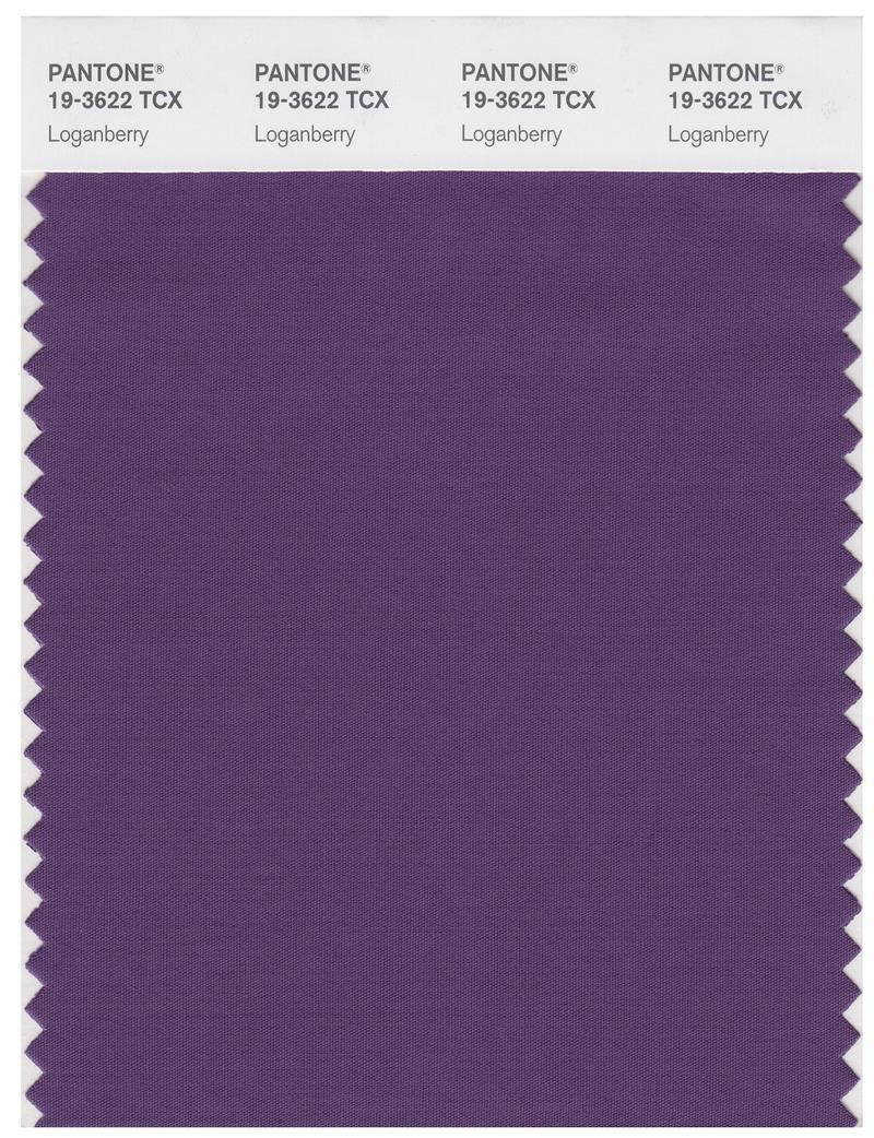 Pantone Smart 19-3622 TCX Color Swatch Card | Loganberry | Magazine ...