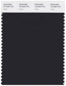 Pantone Smart 19-4006 TCX Color Swatch Card | Caviar | Magazine Cafe ...