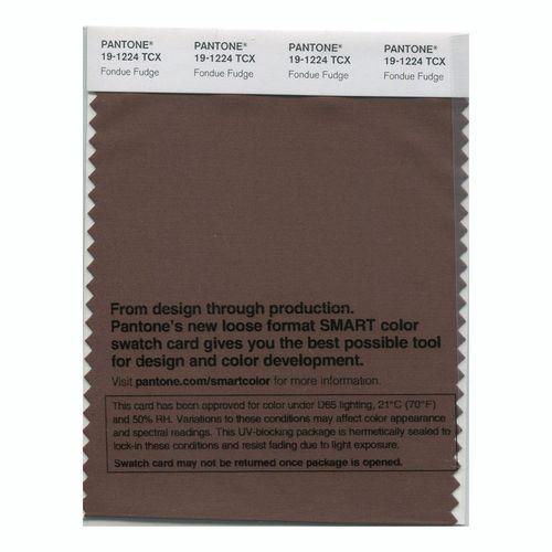 Pantone Smart 19-1224 TCX Color Swatch Card | Fondue Fudge | Magazine ...