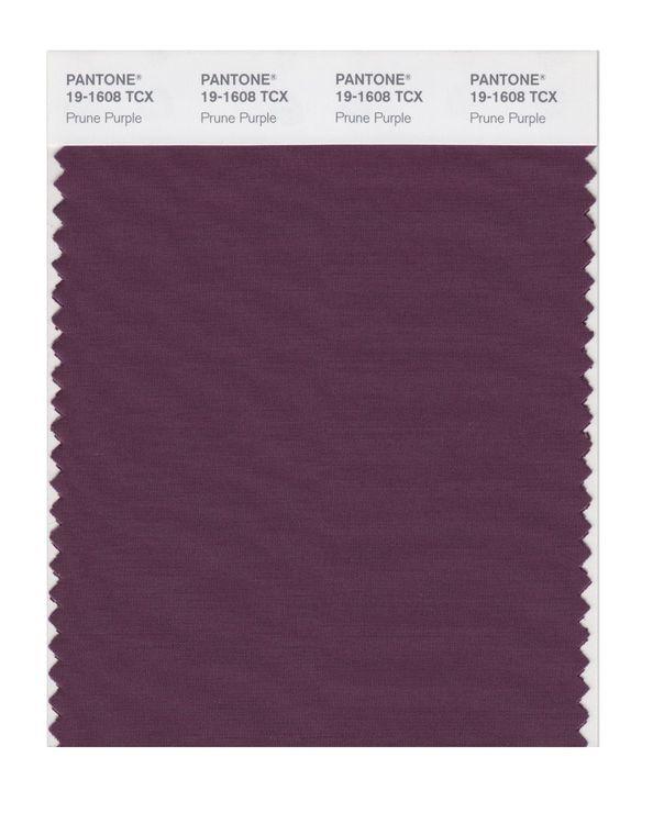 Pantone Smart 19-1608 TCX Color Swatch Card | Prune Purple | Magazine ...