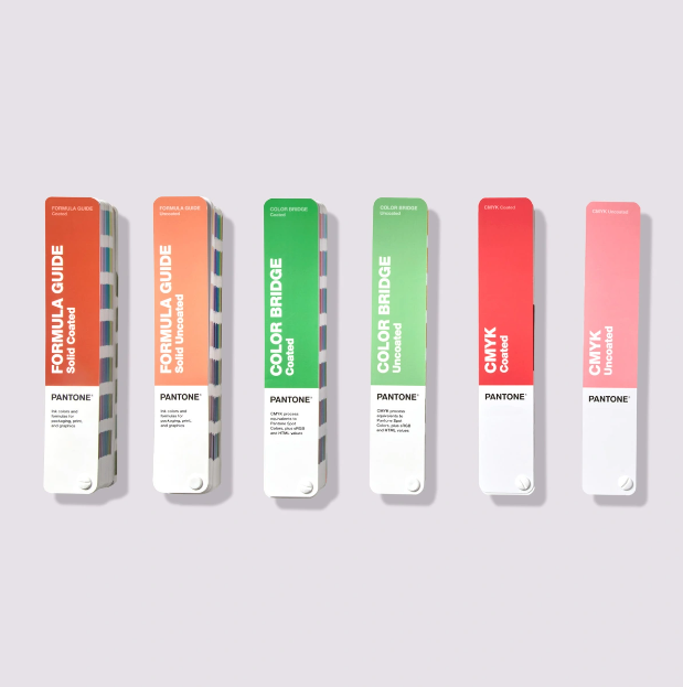 ESSENTIALS GUIDE SET